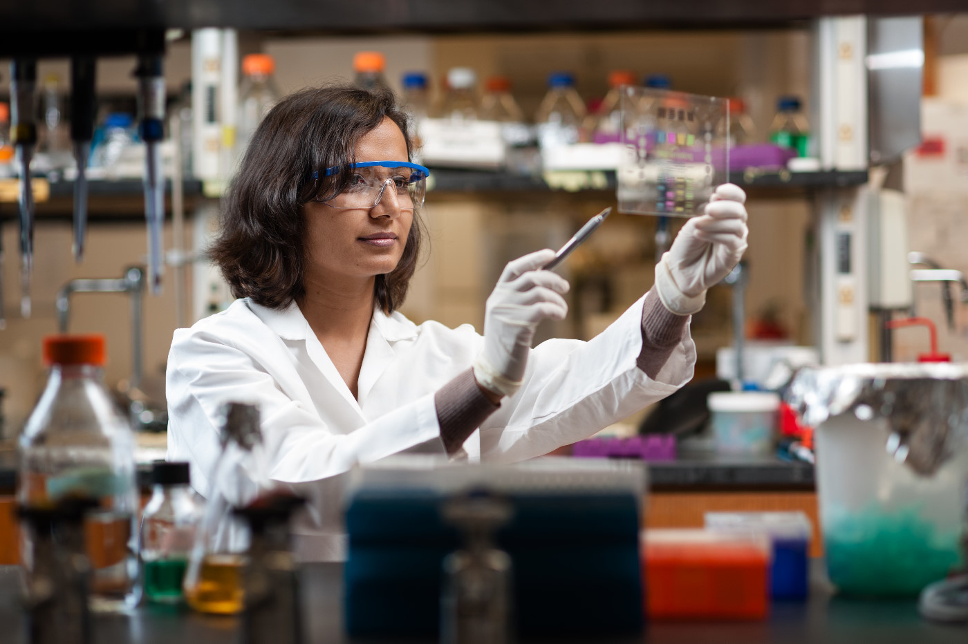 IBT Postdoctoral Training Program